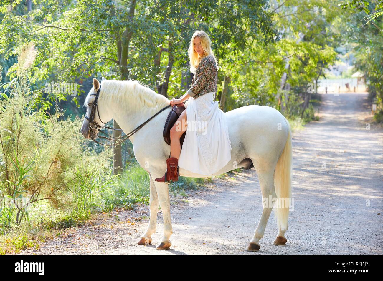 Young Woman Riding White Horse Stock Photos & Young Woman Riding White ...