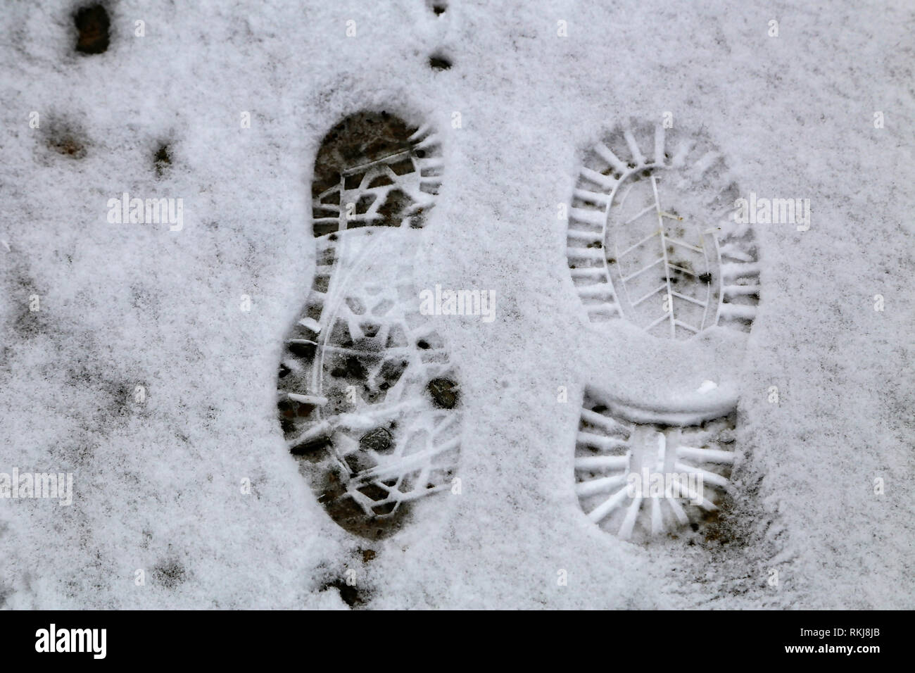 Footprints in the snow / Footprints from shoes in the snow Stock Photo ...
