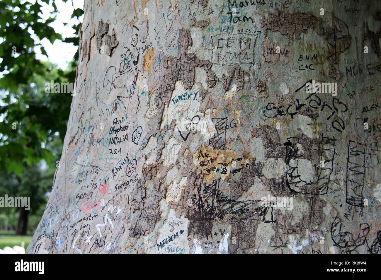 The inscriptions on the tree trunk Stock Photo - Alamy