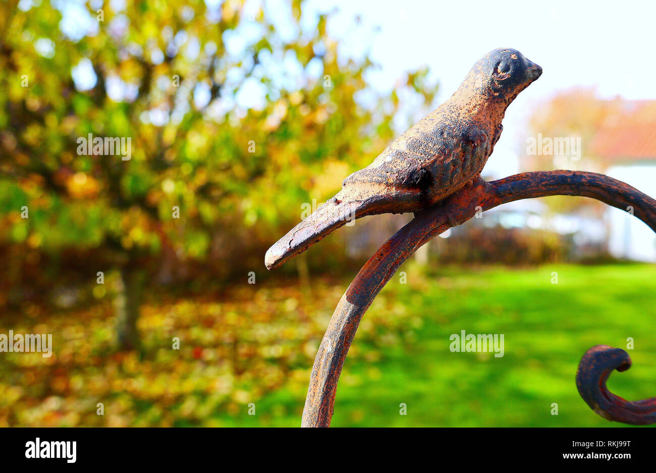 Iron bird hi-res stock photography and images - Alamy