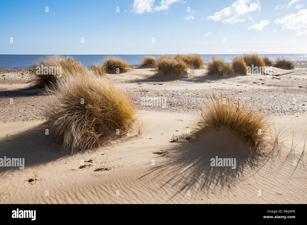 Covehithe Beach High Resolution Stock Photography and Images - Alamy