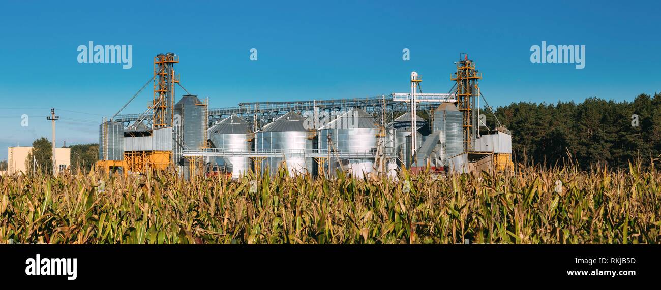 Modern Steel Grain Silo Stock Photos & Modern Steel Grain Silo Stock ...