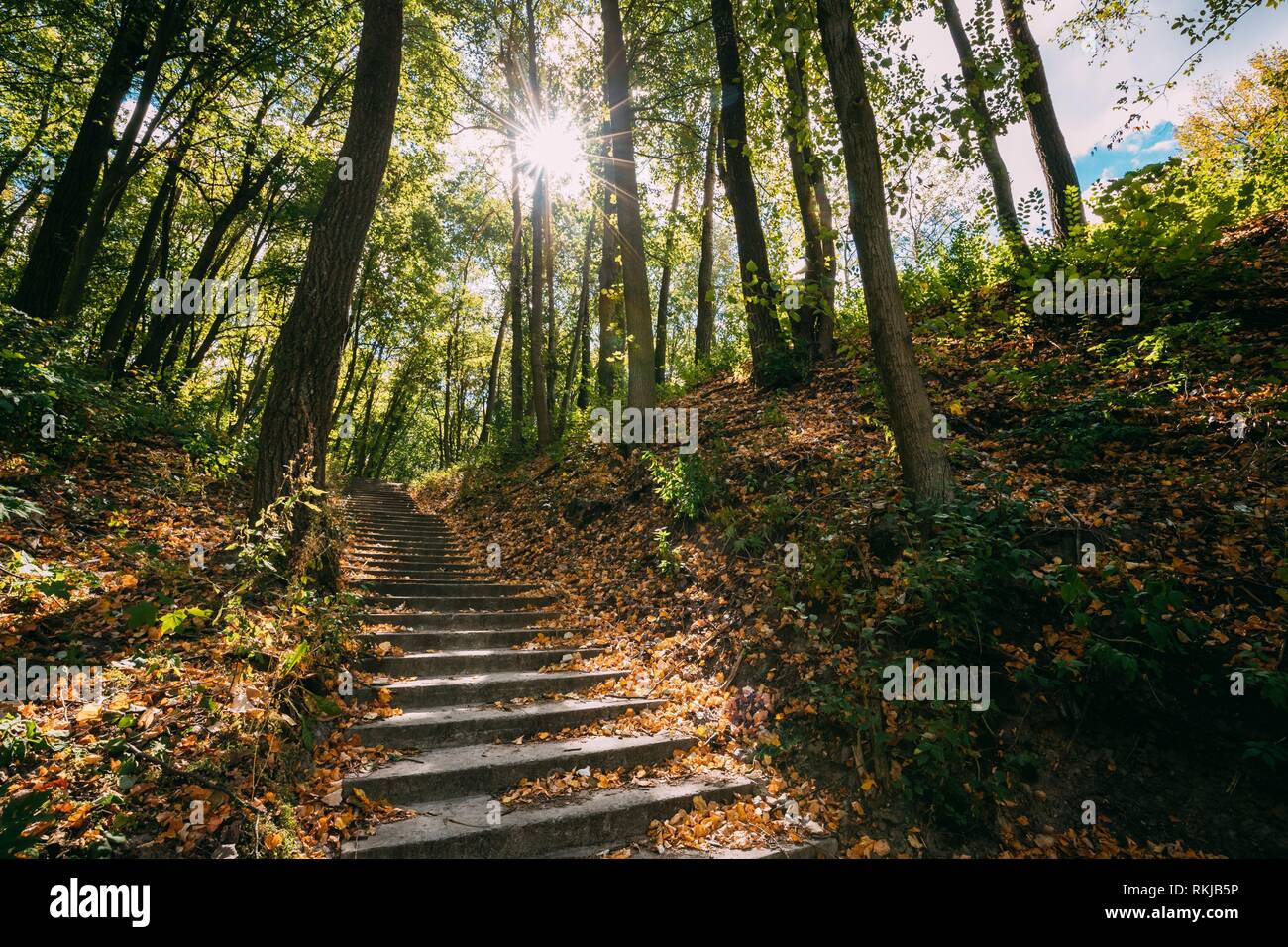 Thousand stairs hi-res stock photography and images - Alamy