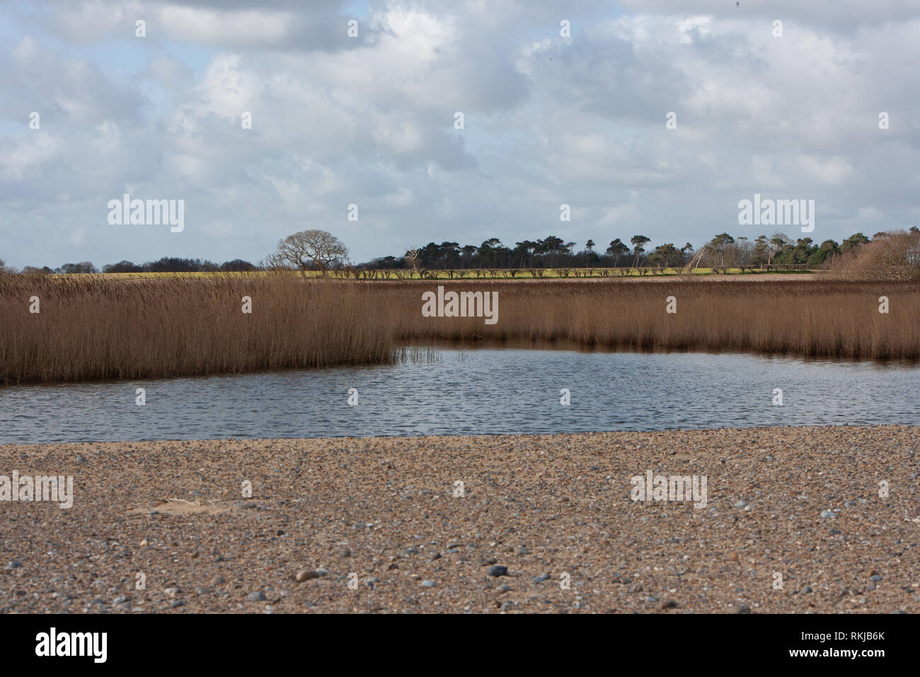 Covehithe broad hi-res stock photography and images - Alamy