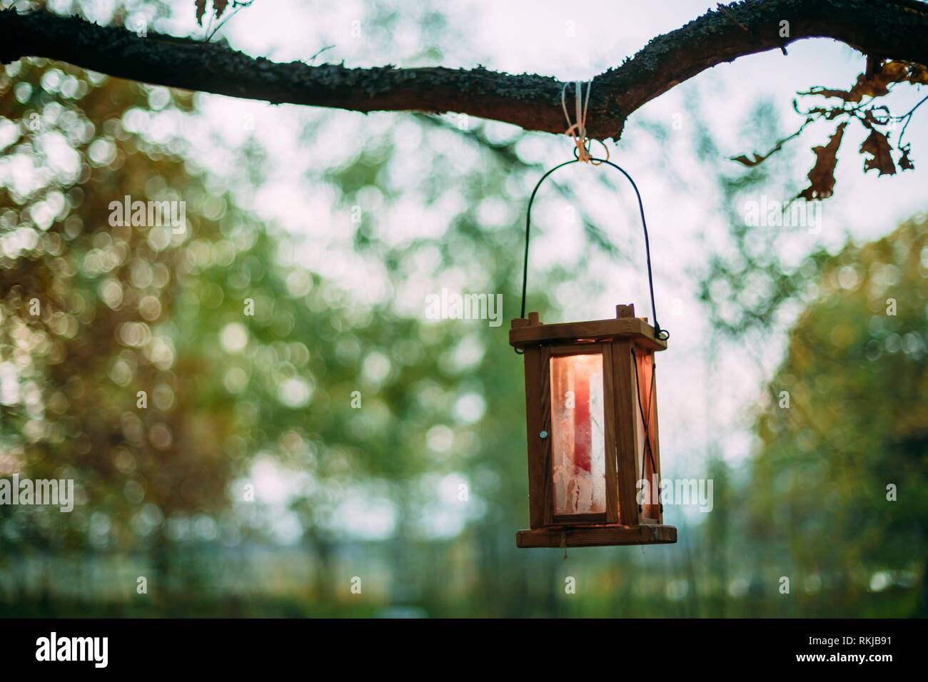 Candle hanging in tree outdoors hi-res stock photography and images - Alamy