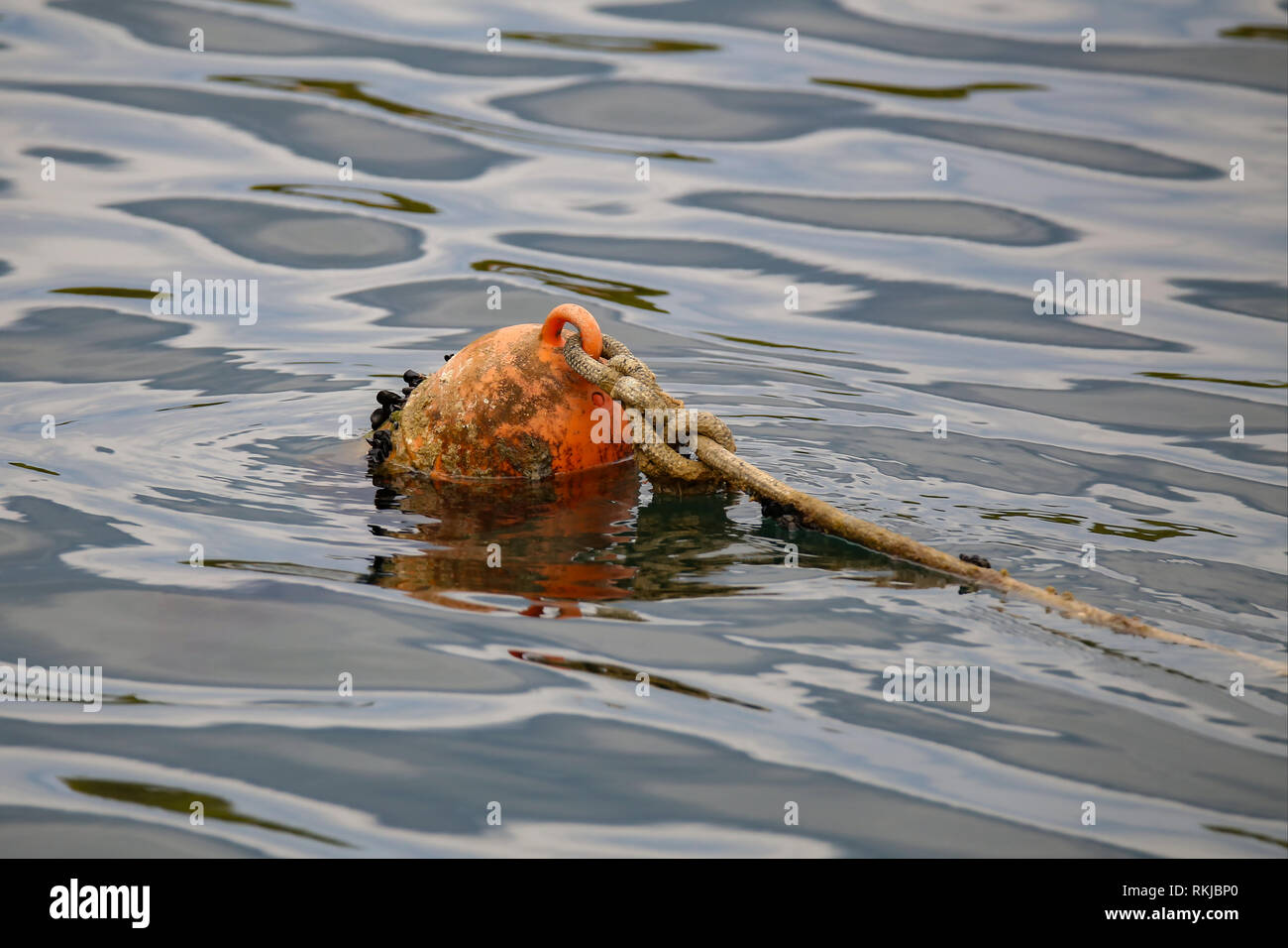 Buoy / A buoy is a floating device that can have many purposes Stock ...