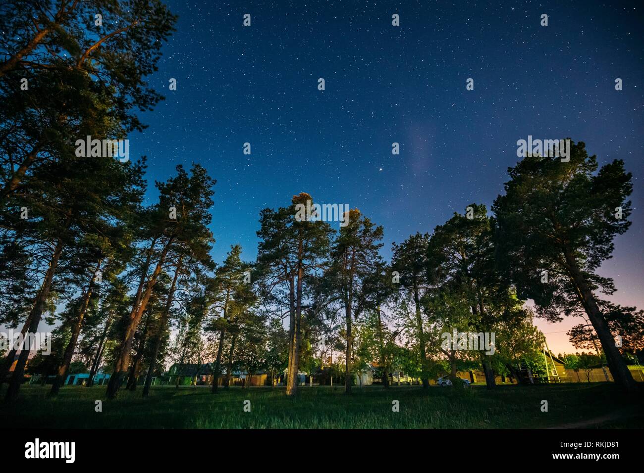 Wood night hi-res stock photography and images - Alamy