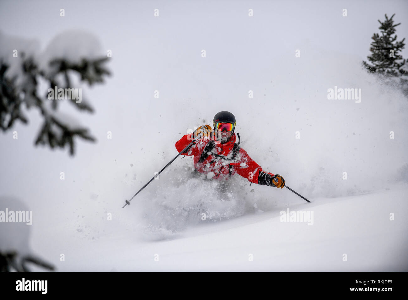 Man deep powder skiing hi-res stock photography and images - Alamy