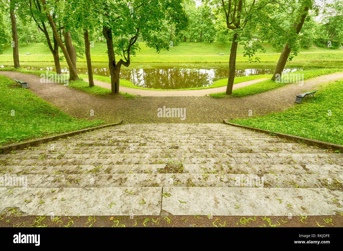 Stone staircase on a hill in the Park.Around nature with green ...