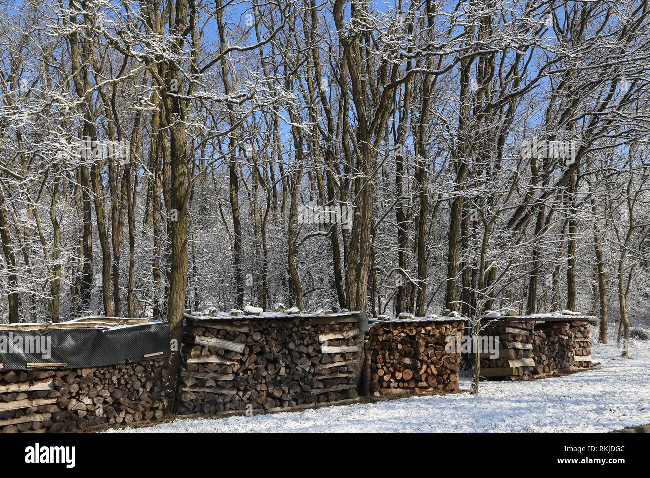 Wood outskirts hi-res stock photography and images - Alamy