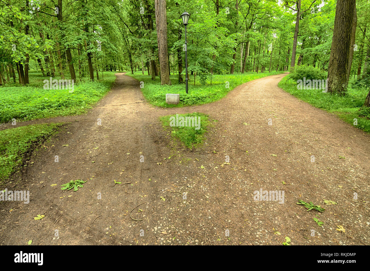 The trail in the forest doubles in different directions.Colorful views ...