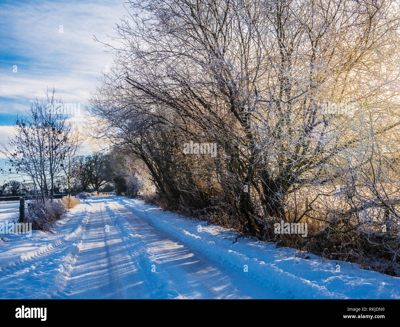 A narrow country lane in the snow Stock Photo - Alamy