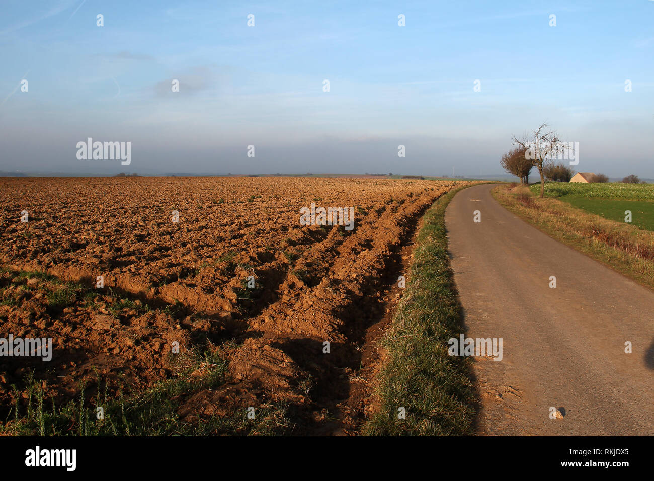 Arable land / Arable land and blue sky Stock Photo - Alamy