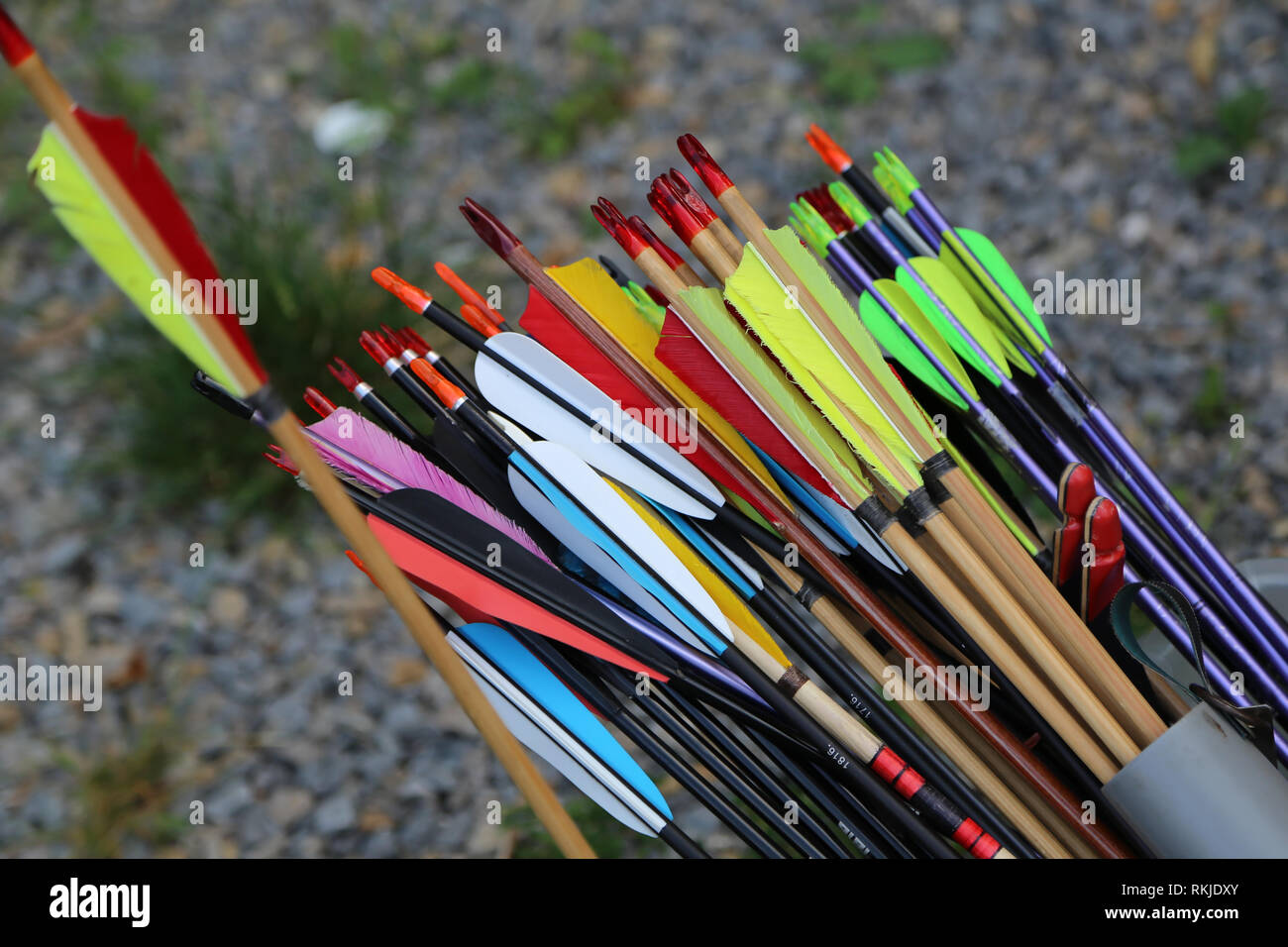 Archery / Multi-colored arrows for archery / Sports Archery Stock Photo ...