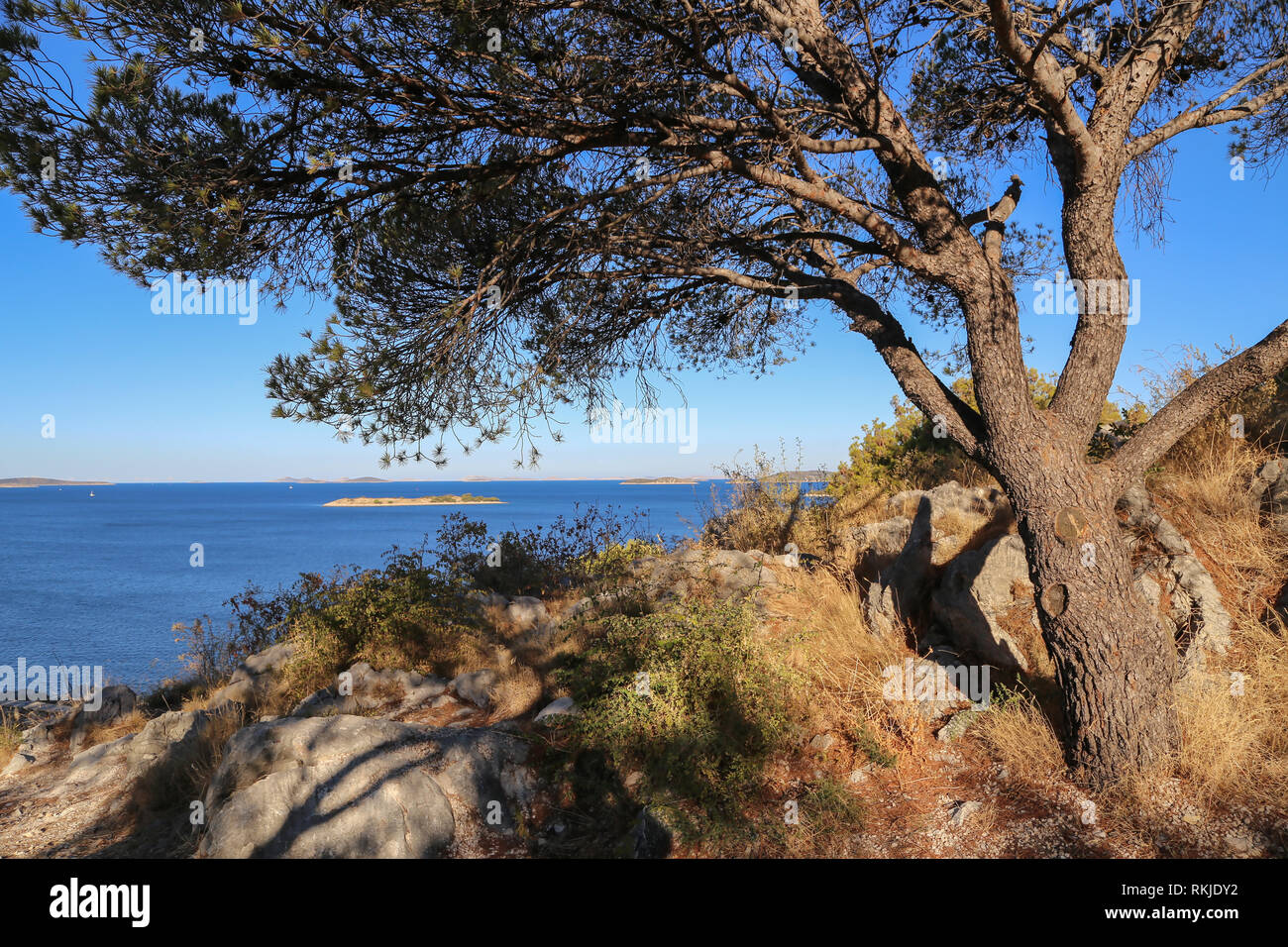 Beautiful scenery of the Adriatic coast in Croatia Stock Photo - Alamy