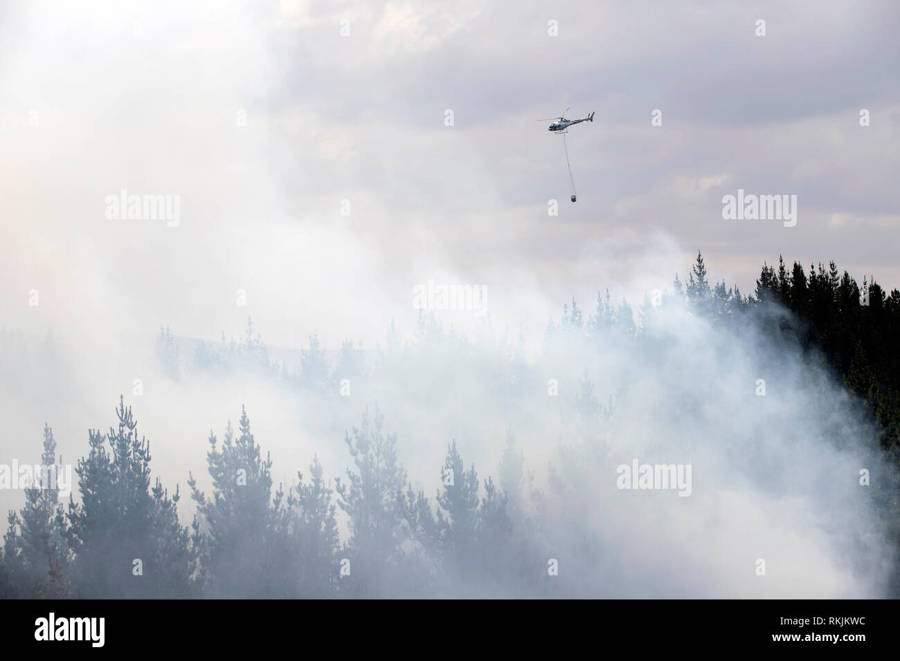 Pigeon Valley fire, Nelson Tasman region, New Zealand Stock Photo - Alamy