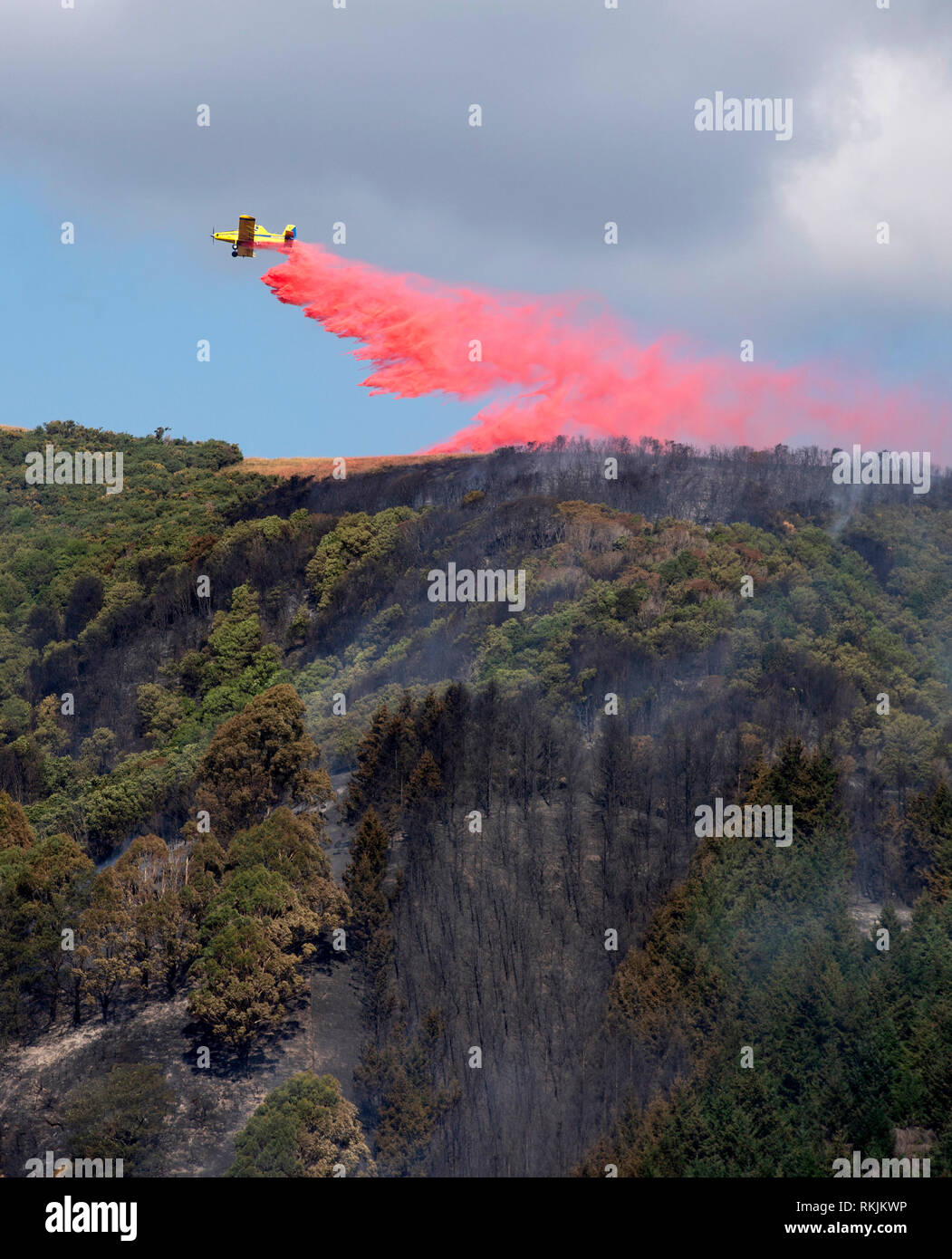 Pigeon Valley fire, Nelson Tasman region, New Zealand Stock Photo - Alamy
