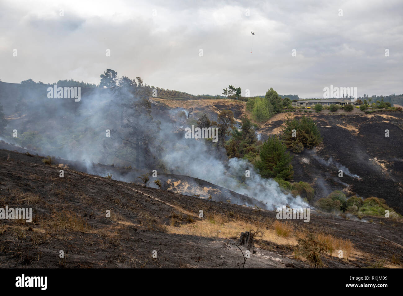 Pigeon Valley fire, Nelson Tasman region, New Zealand Stock Photo - Alamy