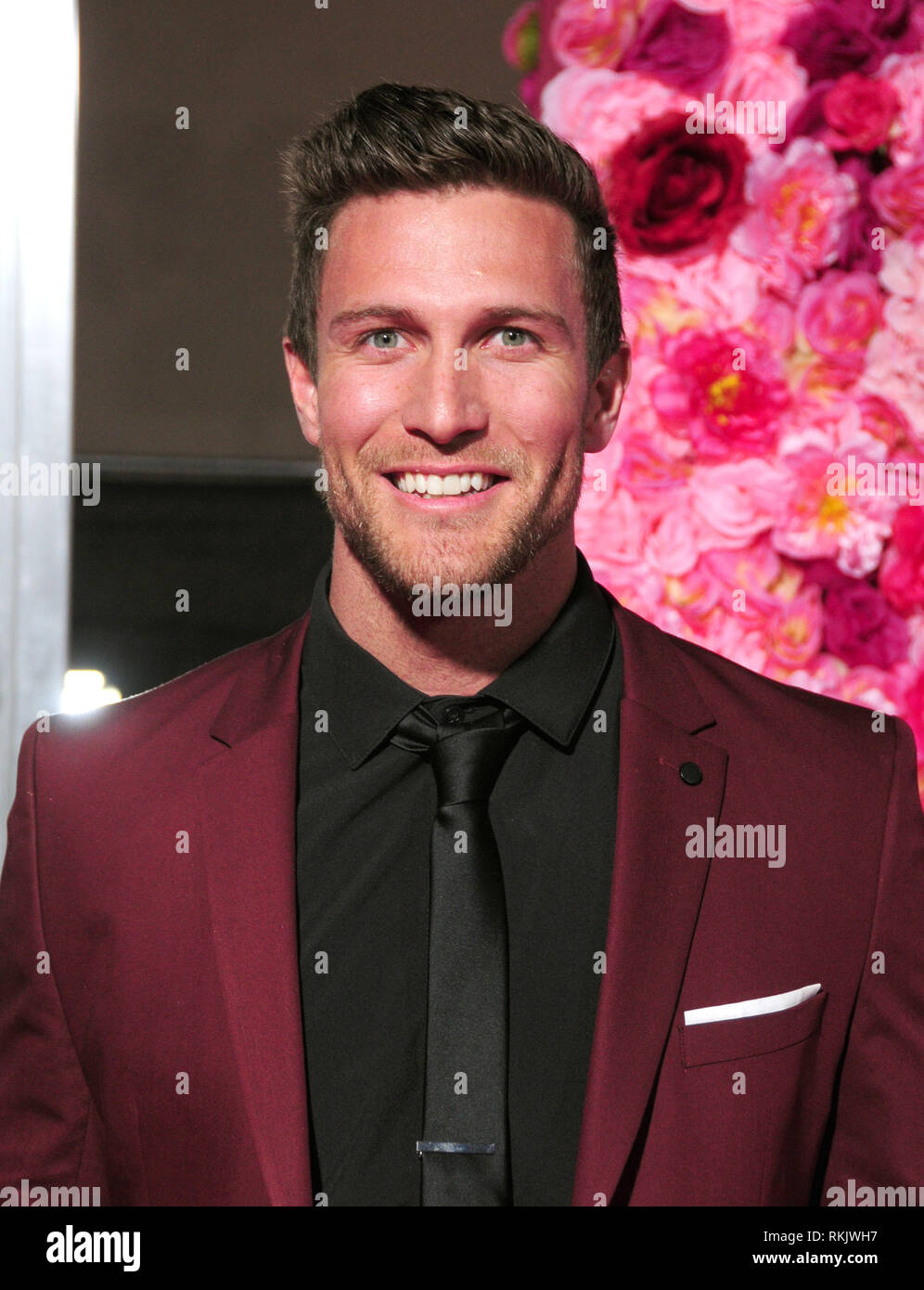 Los Angeles, USA. 11th Feb, 2019. LOS ANGELES, CA - FEBRUARY 11: TV ...