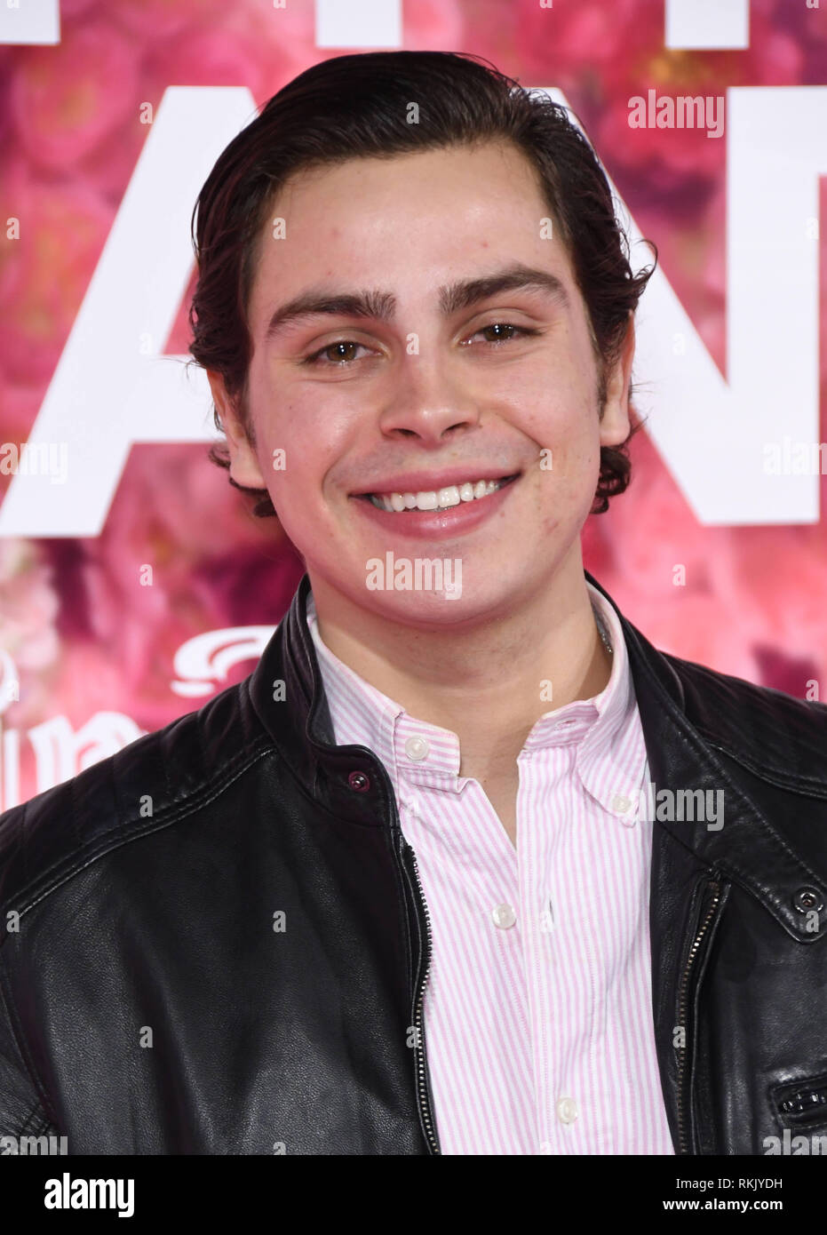 Los Angeles, CA, USA. 11th Feb, 2019. 11 February 2019 - Los Angeles ...