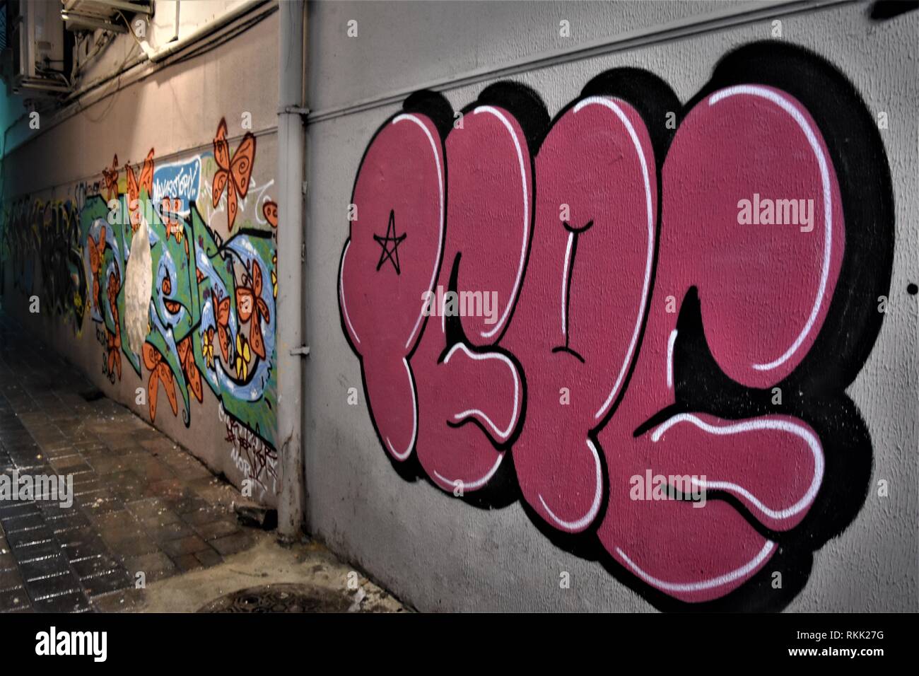 21 January 2019, Turkey, Izmir: Graffiti are painted on the walls along ...