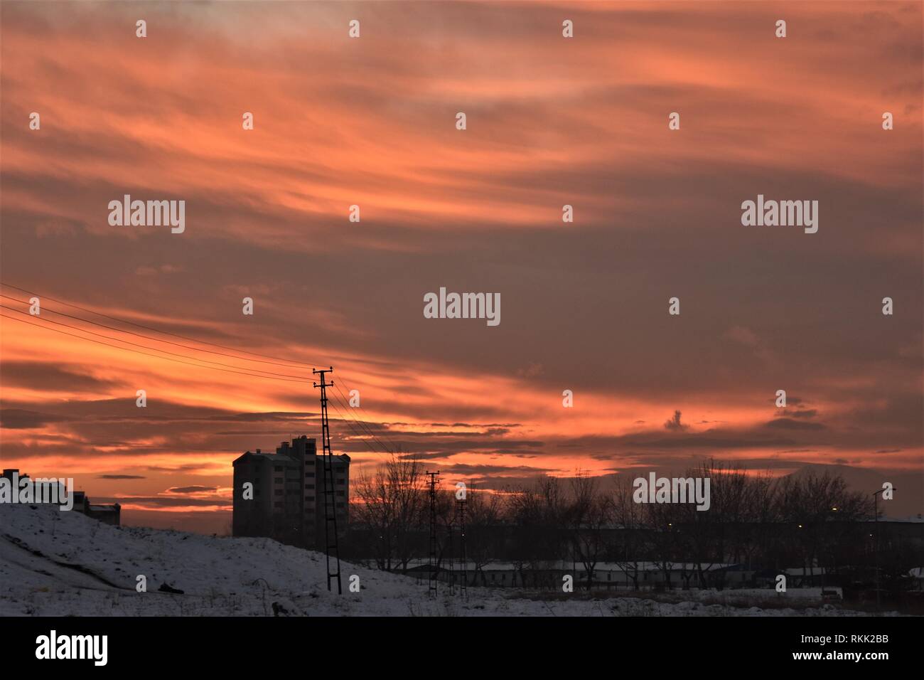 Ankara, Turkey. 10th Jan, 2019. Clouds cover a blood red sky over trees ...