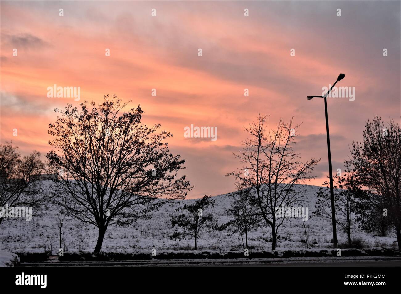 Ankara, Turkey. 10th Jan, 2019. Clouds cover a blood red sky over trees ...