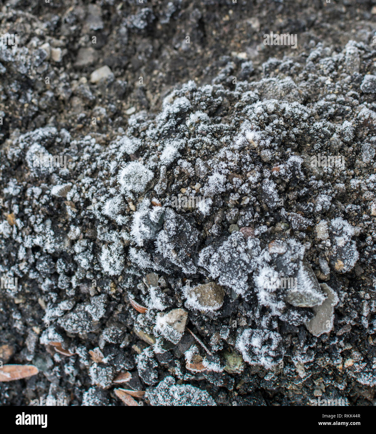 Frozen Ground Texture