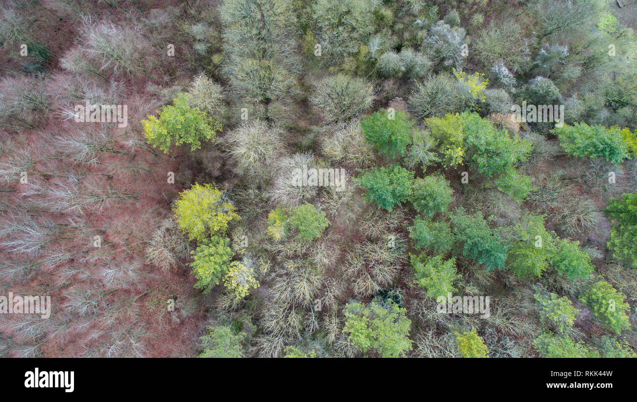 Straight Down High Resolution Stock Photography and Images - Alamy