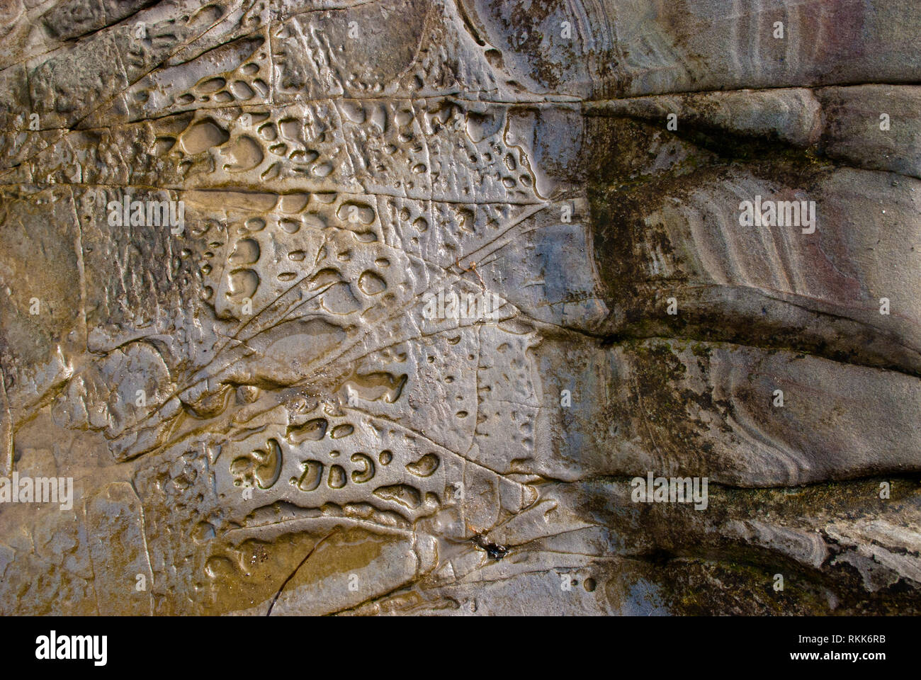 Fascinating textured sandstone rocks on a beach in Sunset Bay, Oregon ...