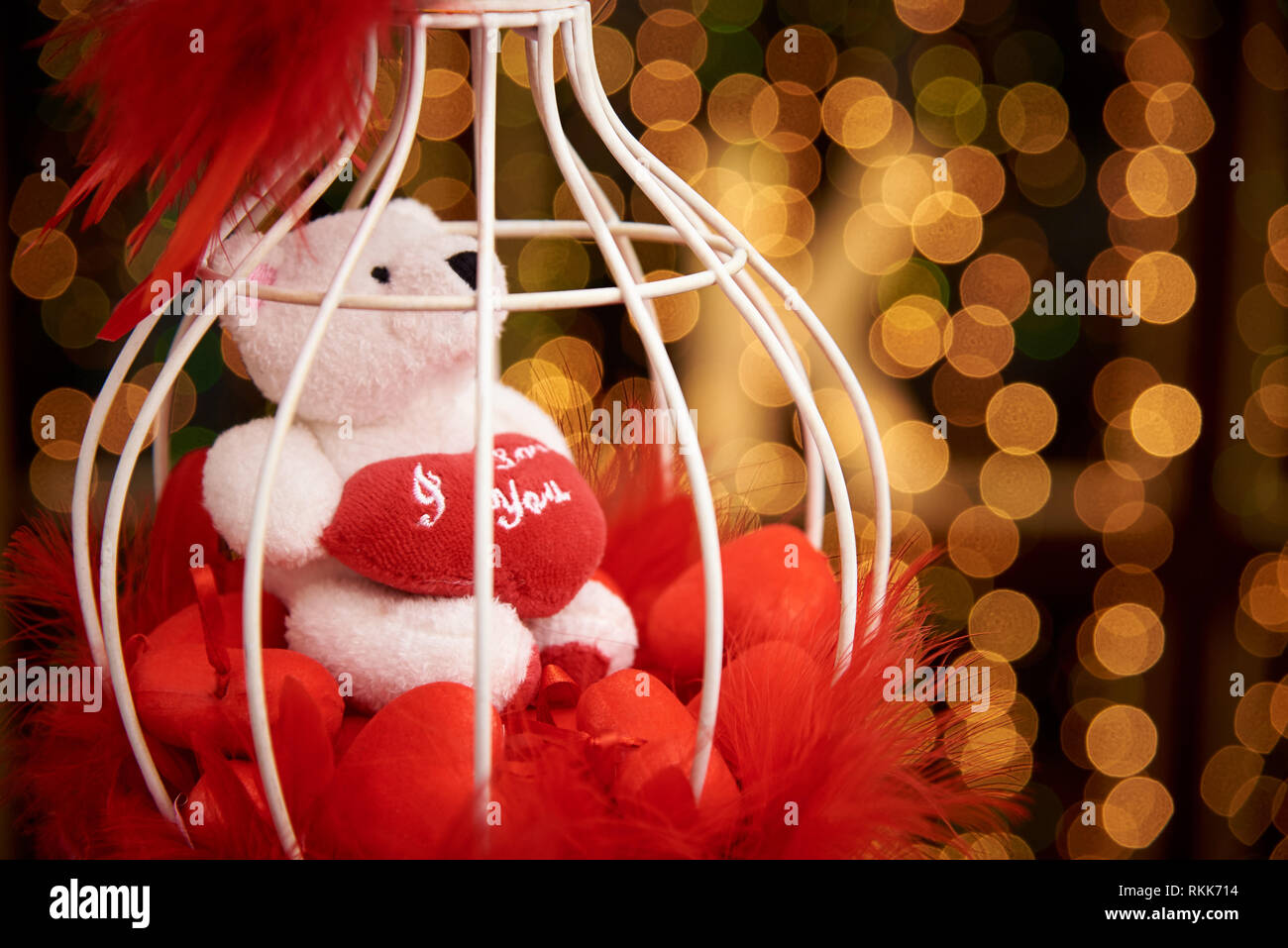 Teddy and cage hi-res stock photography and images - Alamy