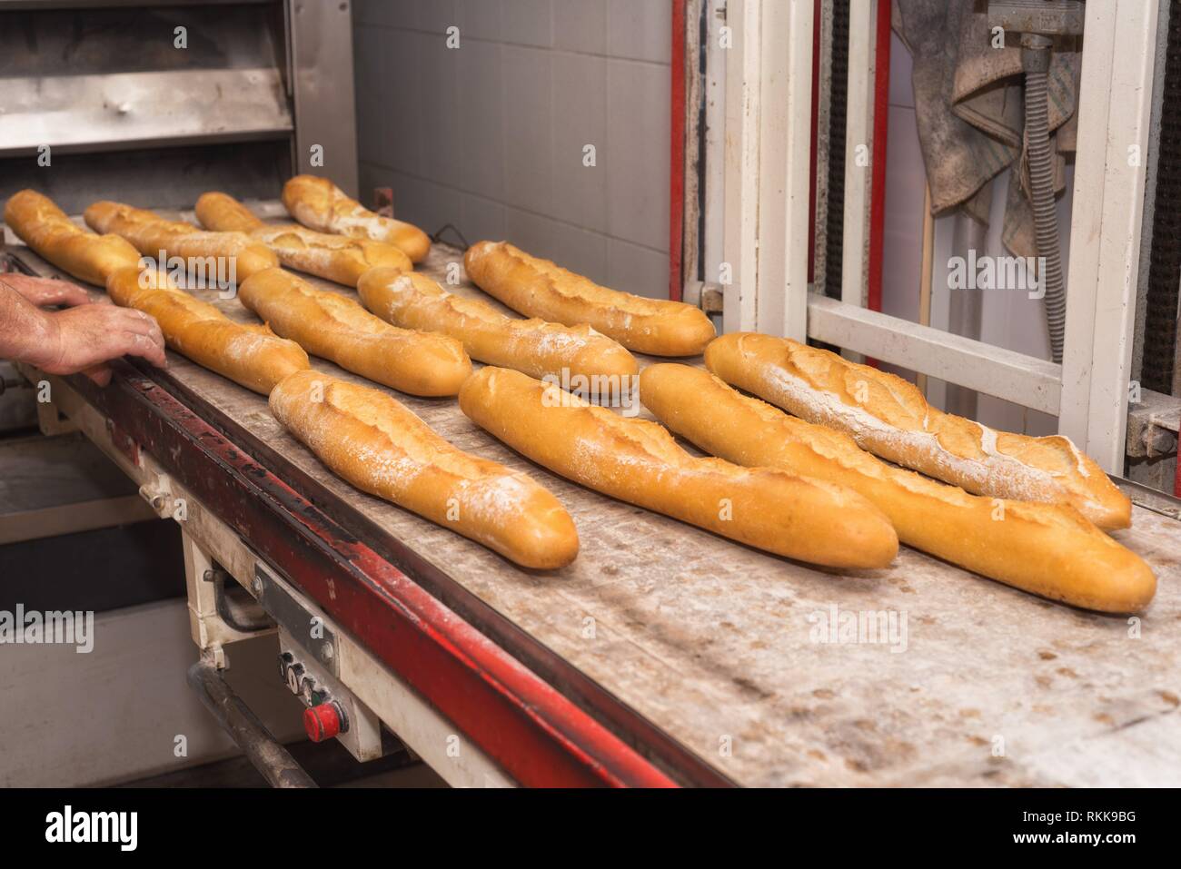 Industrial food production bread hi-res stock photography and images ...