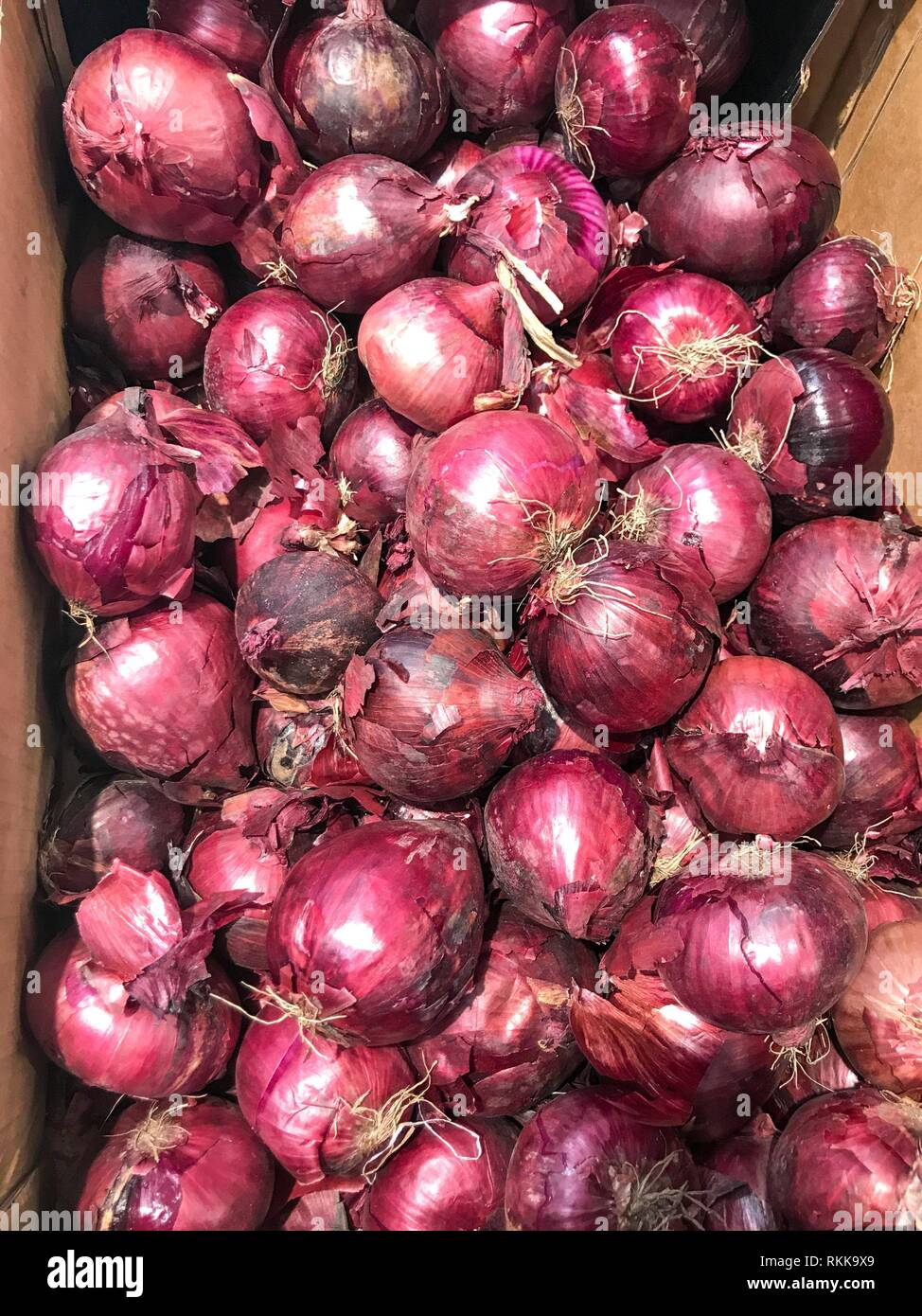 Red onions are cultivars of the onion (Allium cepa) with purplish-red ...