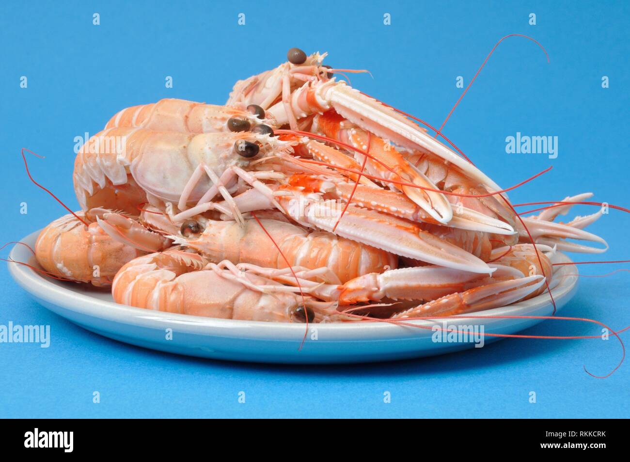 Raw Scampi High Resolution Stock Photography and Images - Alamy