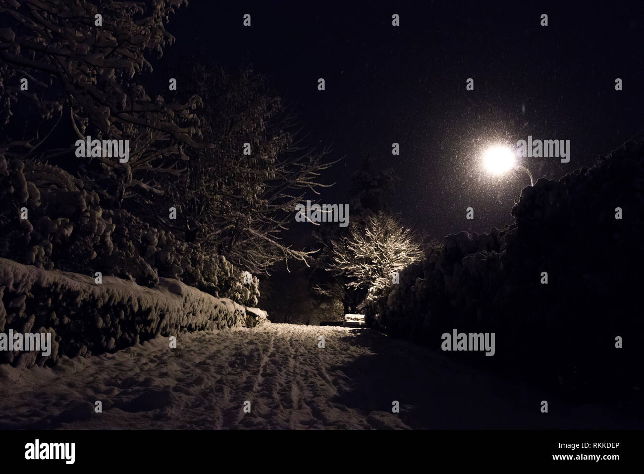 Snowing in the night scene Stock Photo - Alamy