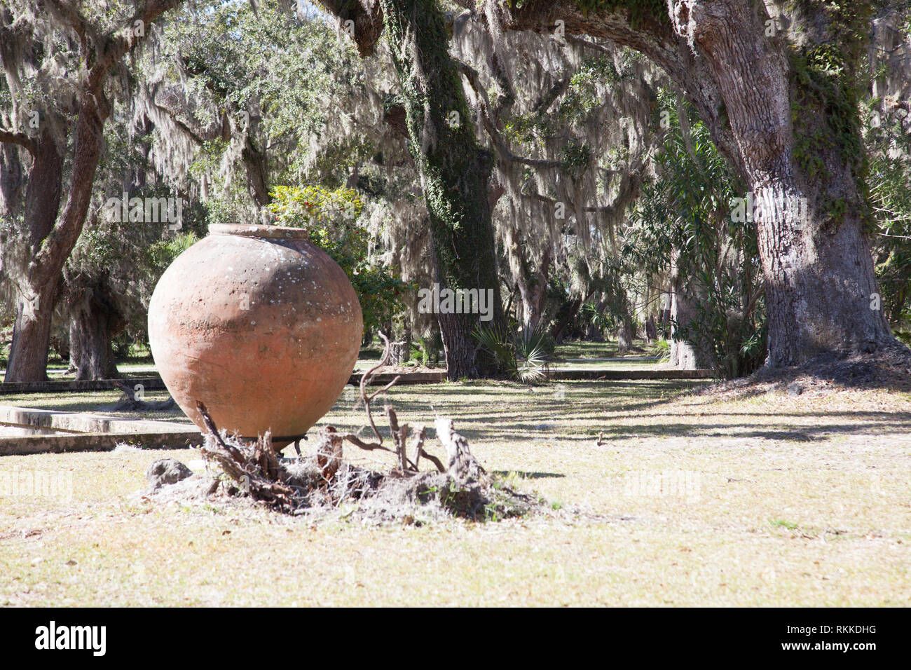 clay pot in woods with Spanish Moss Stock Photo - Alamy
