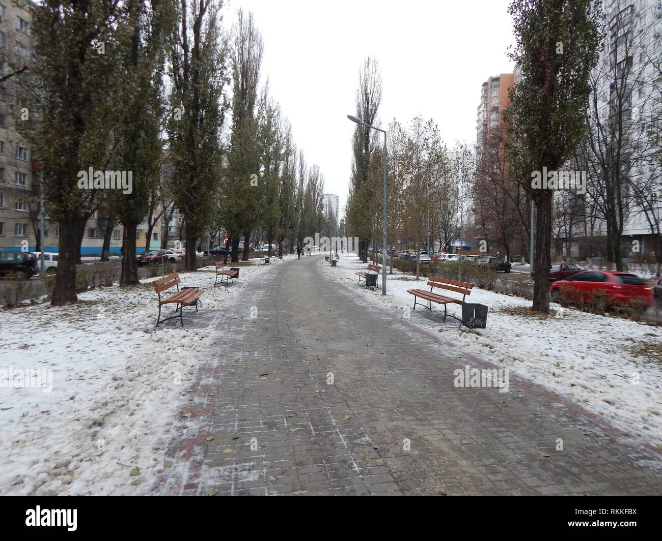 Nature plants texture textures hi-res stock photography and images - Alamy