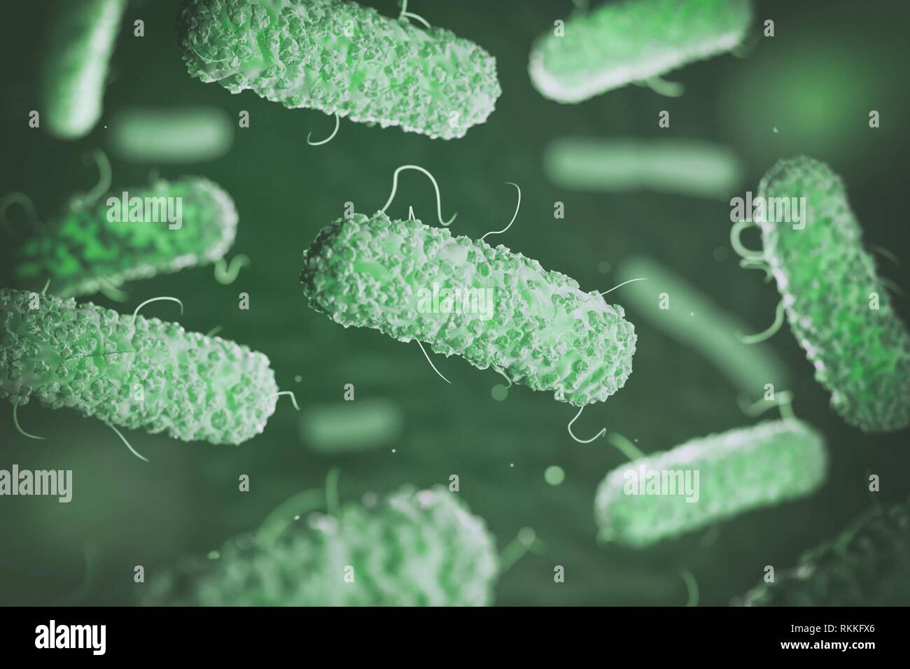 Mycobacterium Tuberculosis Microscope High Resolution Stock Photography ...
