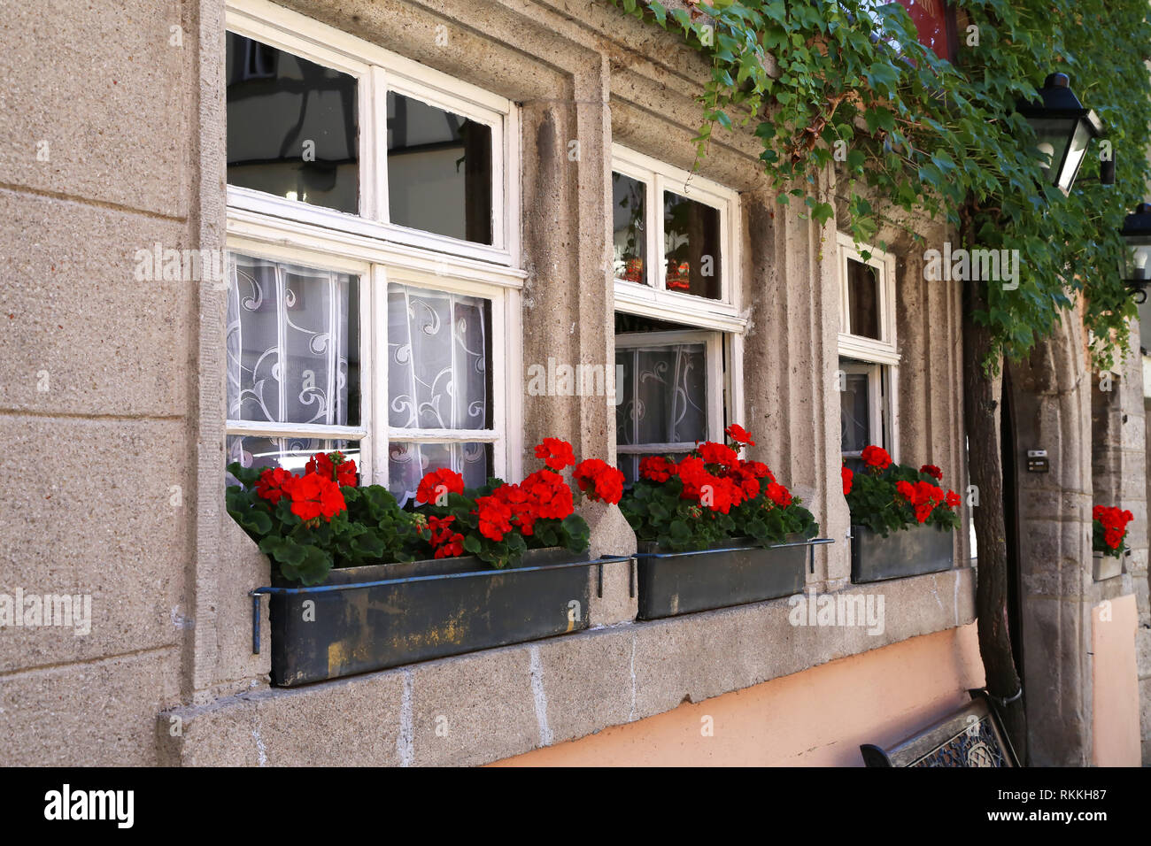 Red flowers on the windowsill / Windows with shutters Stock Photo - Alamy