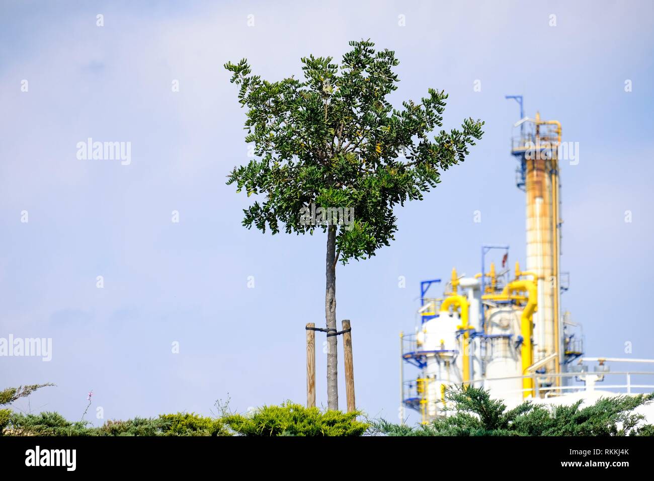 Refinery plant tower icon hi-res stock photography and images - Alamy