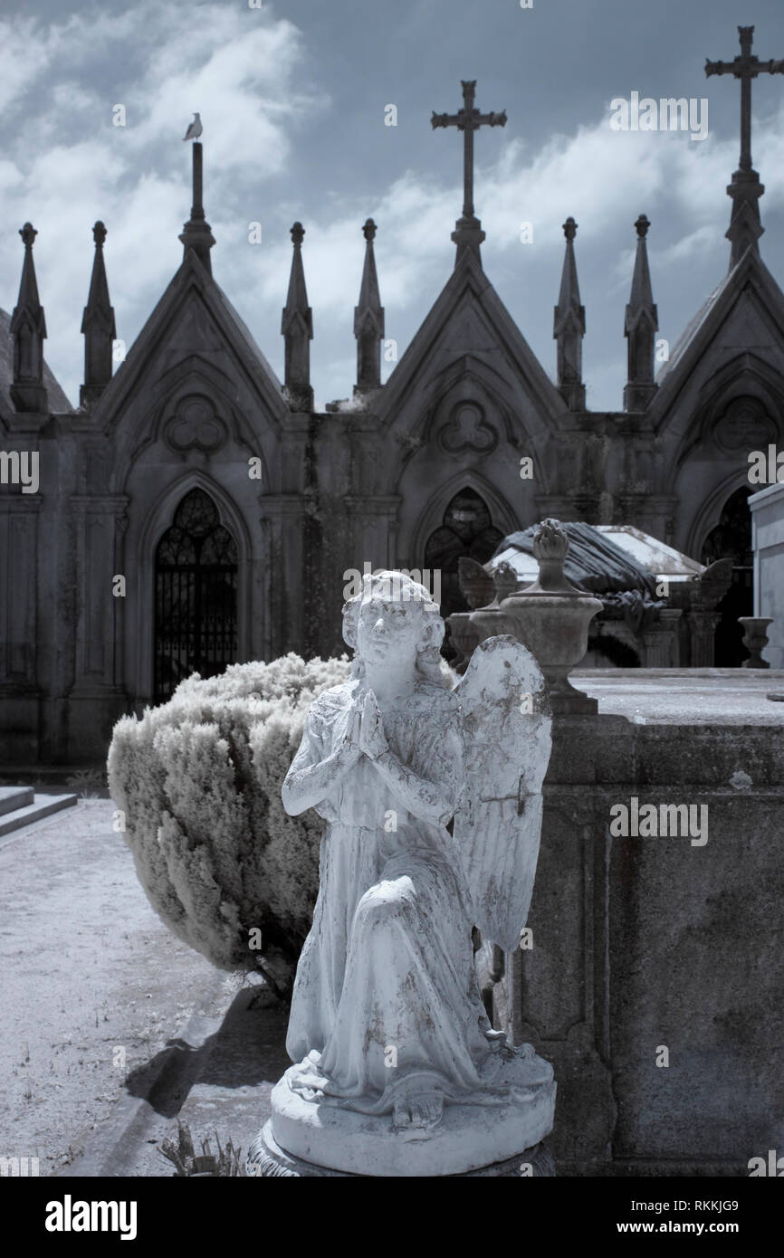 Angel statue from an old european cemetery Stock Photo - Alamy
