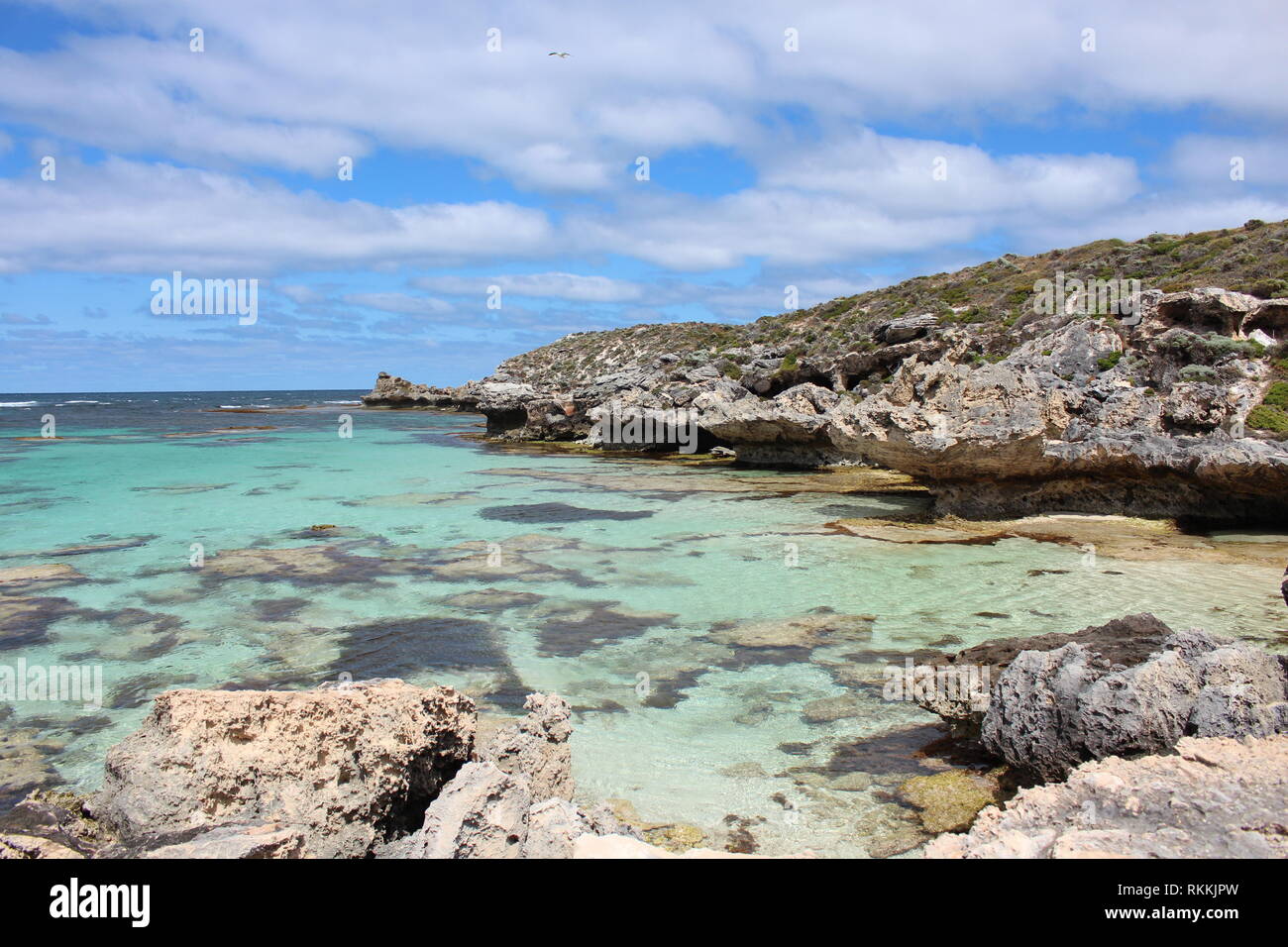 Reef rottnest hi-res stock photography and images - Alamy