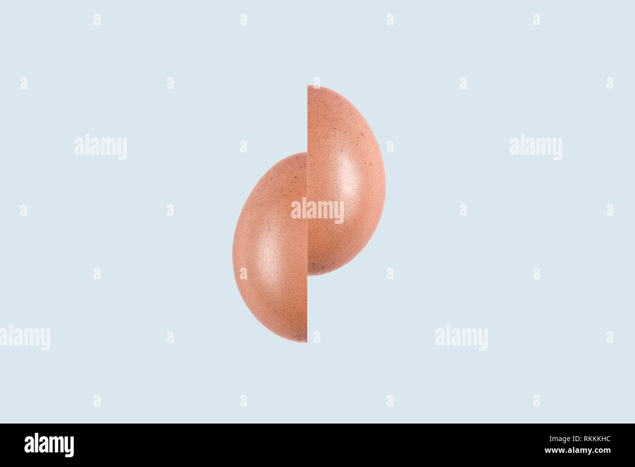 two halves of a creative, abstract egg, on a light background Stock ...