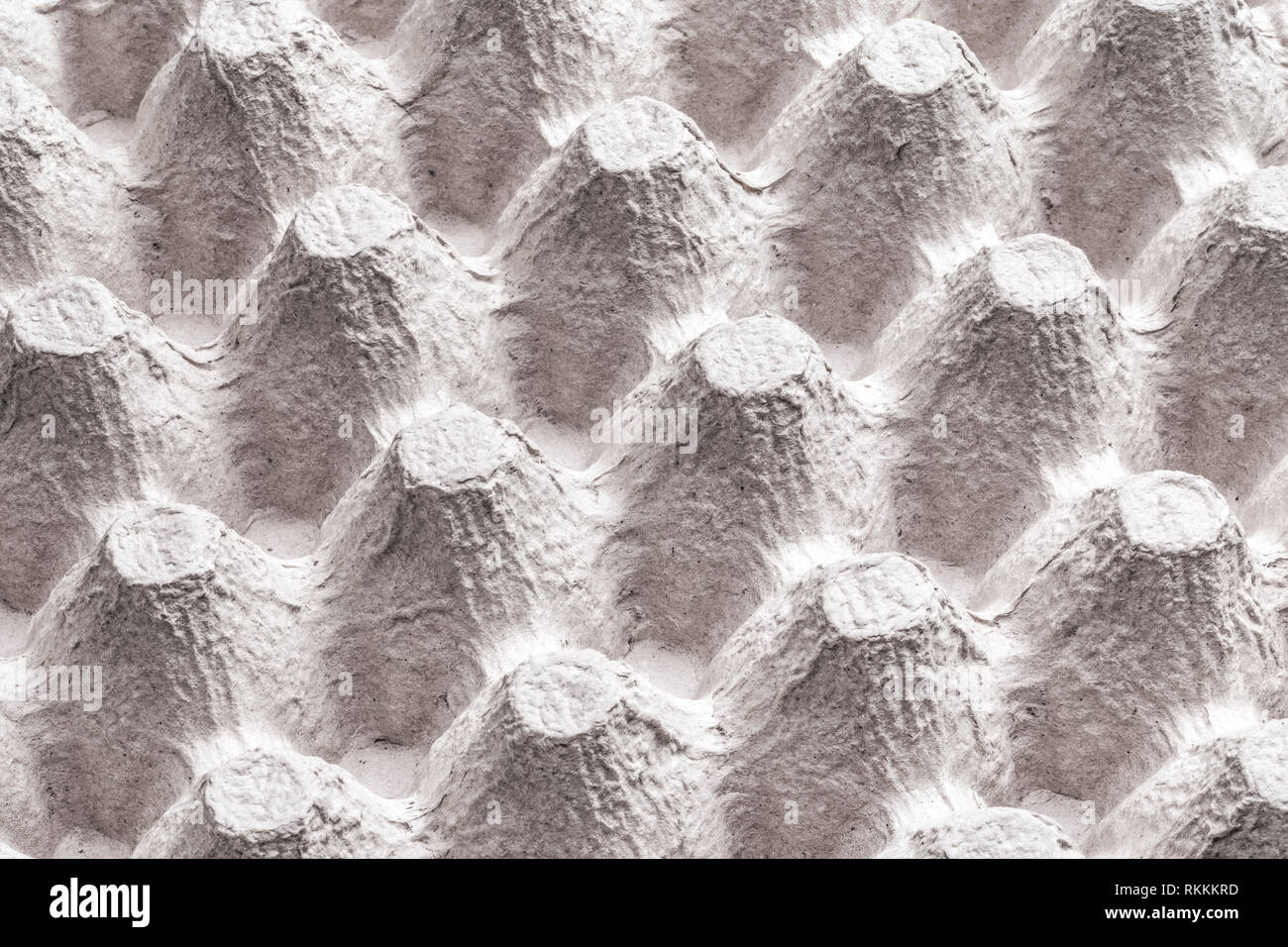 Cardboard containers for eggs, side view Stock Photo - Alamy
