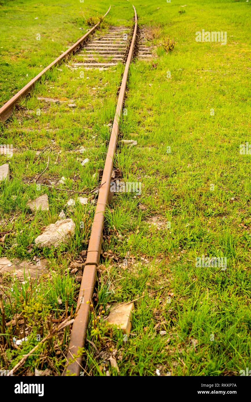 Overgrown railway track hi-res stock photography and images - Alamy