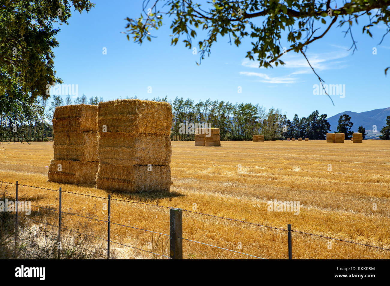 Square bale stack hi-res stock photography and images - Alamy