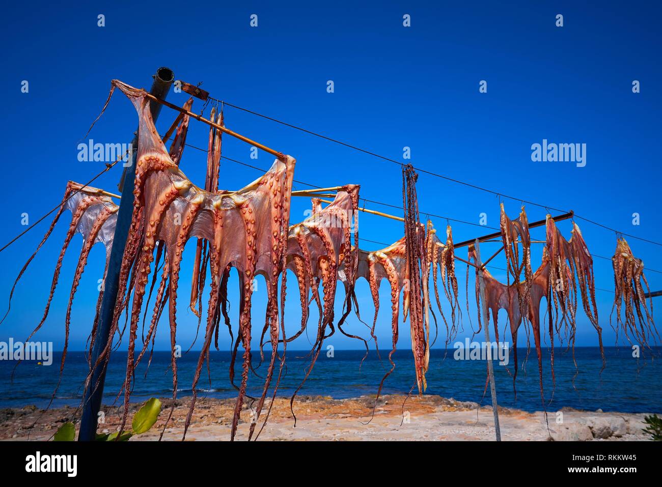 Dried octopus hi-res stock photography and images - Alamy