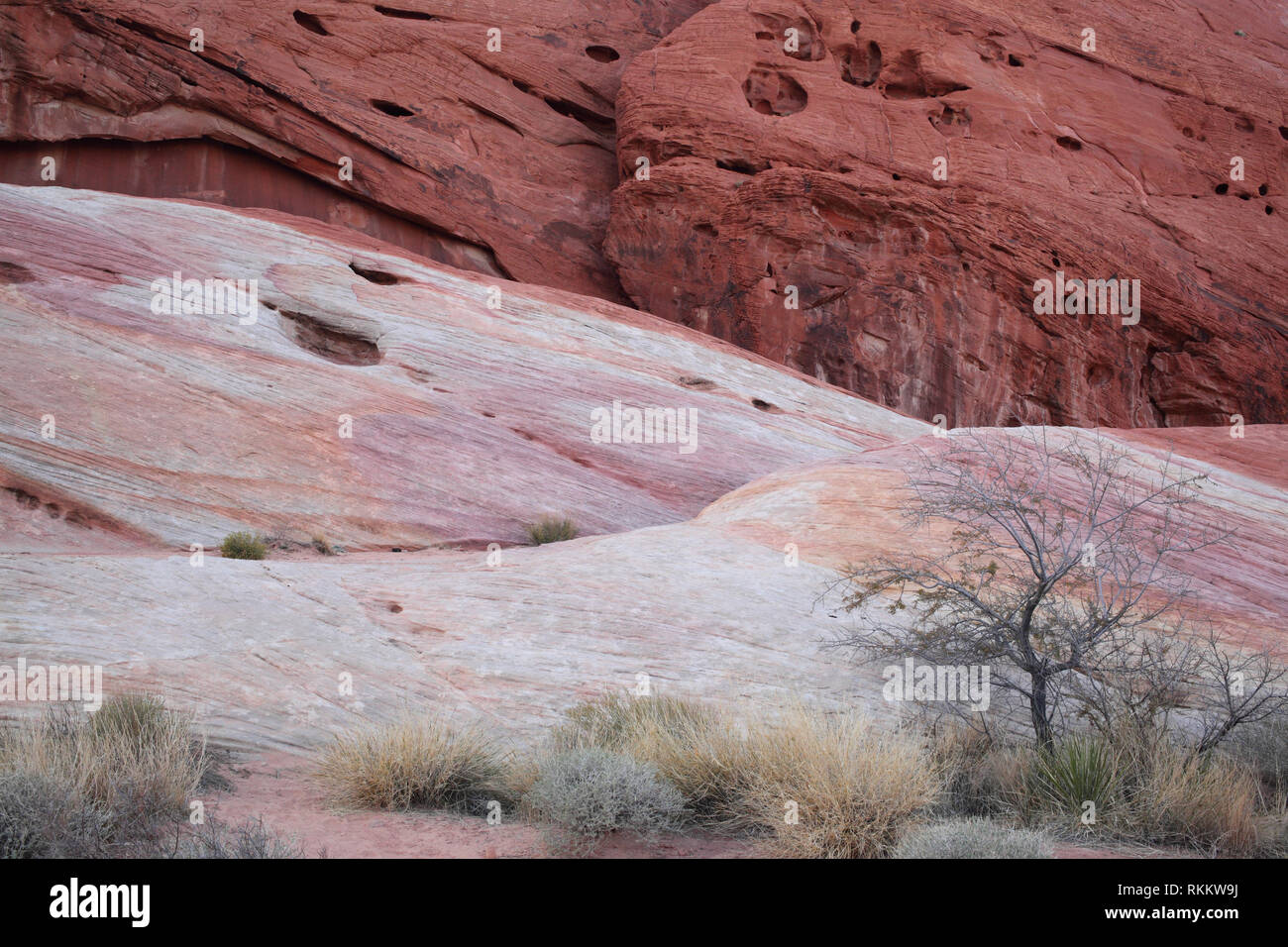 Red and pink rocks in Valley of Fire state park Stock Photo - Alamy