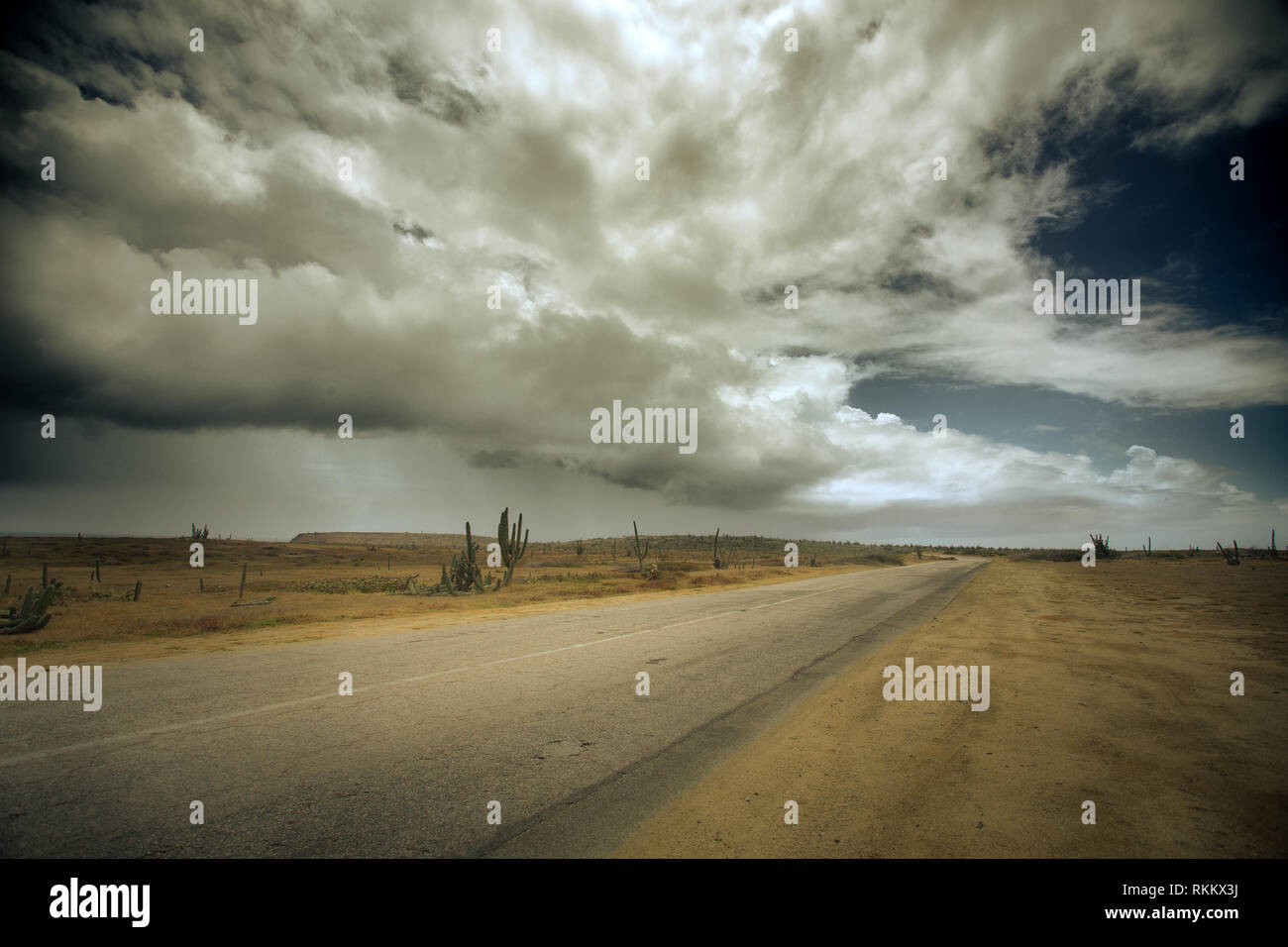 Desolate desert road with dramatic clouds in sky and cactus Stock Photo ...