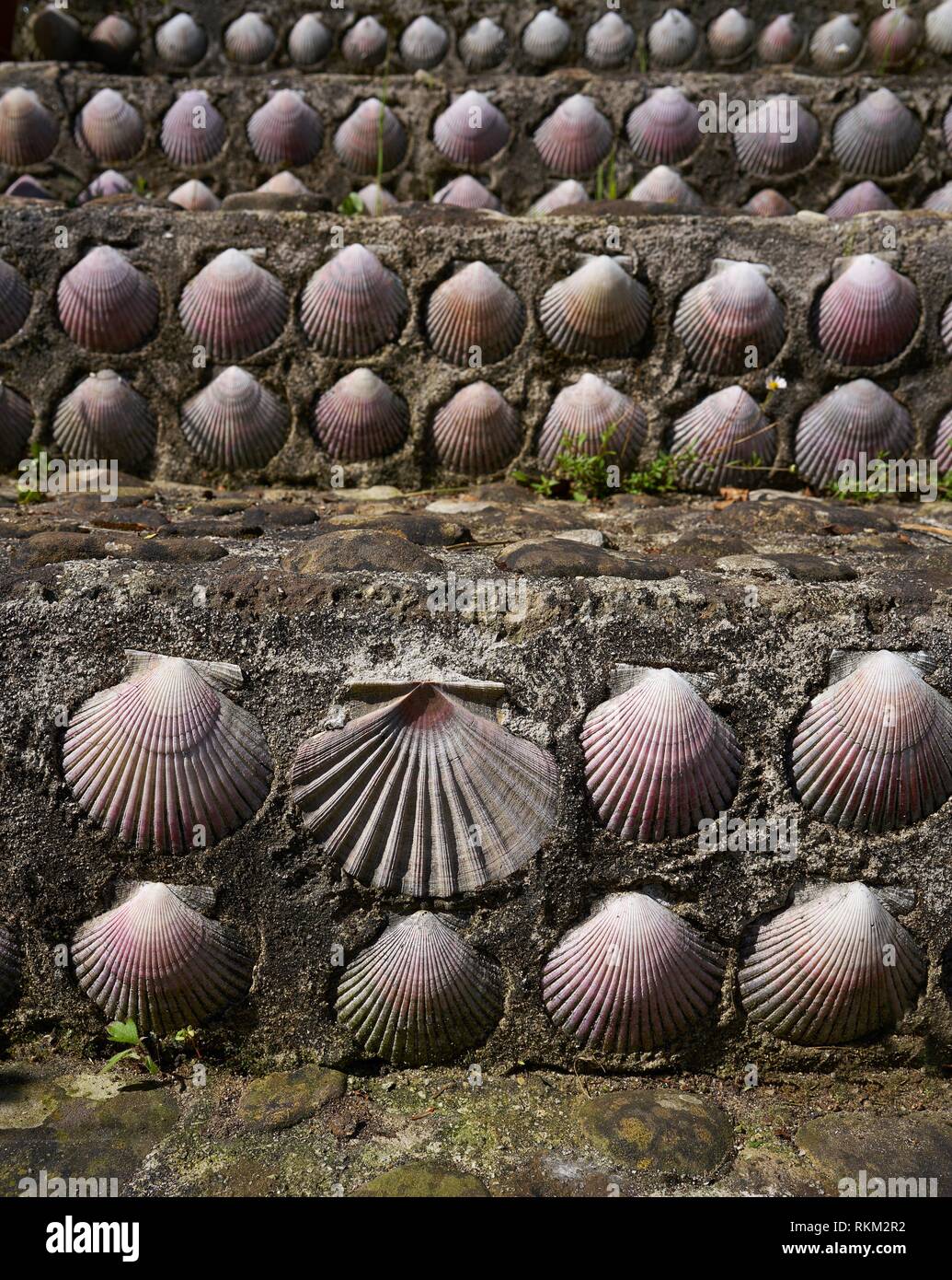 Sea shell stairs hi-res stock photography and images - Alamy